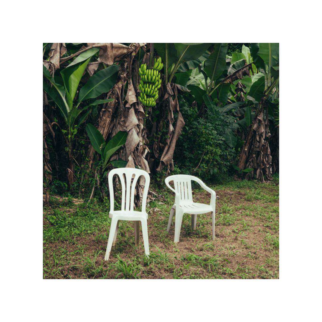 All – DeBÍ TiRAR MáS FOToS